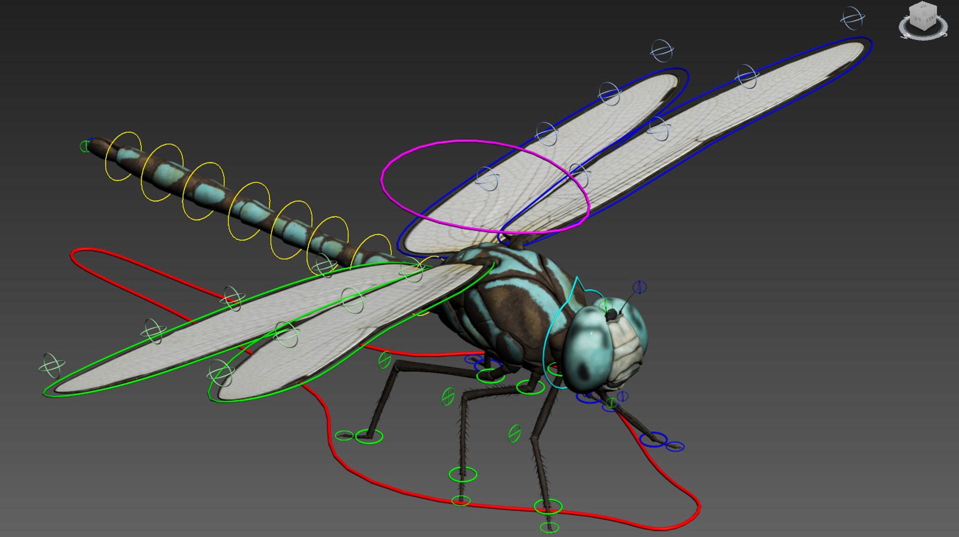 3D Dragonfly Rigged Animated 8K PBR Textures model - TurboSquid 2002495