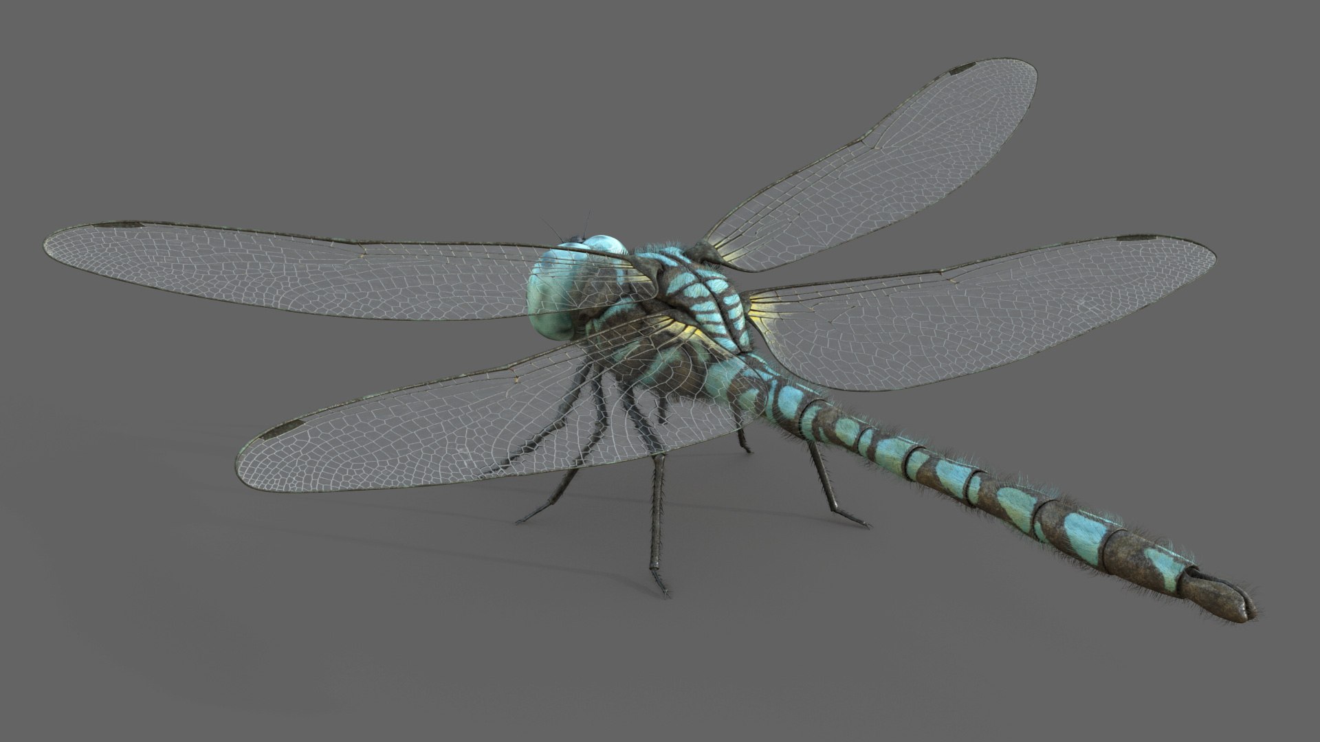 3D Dragonfly Rigged Animated 8K PBR Textures model - TurboSquid 2002495
