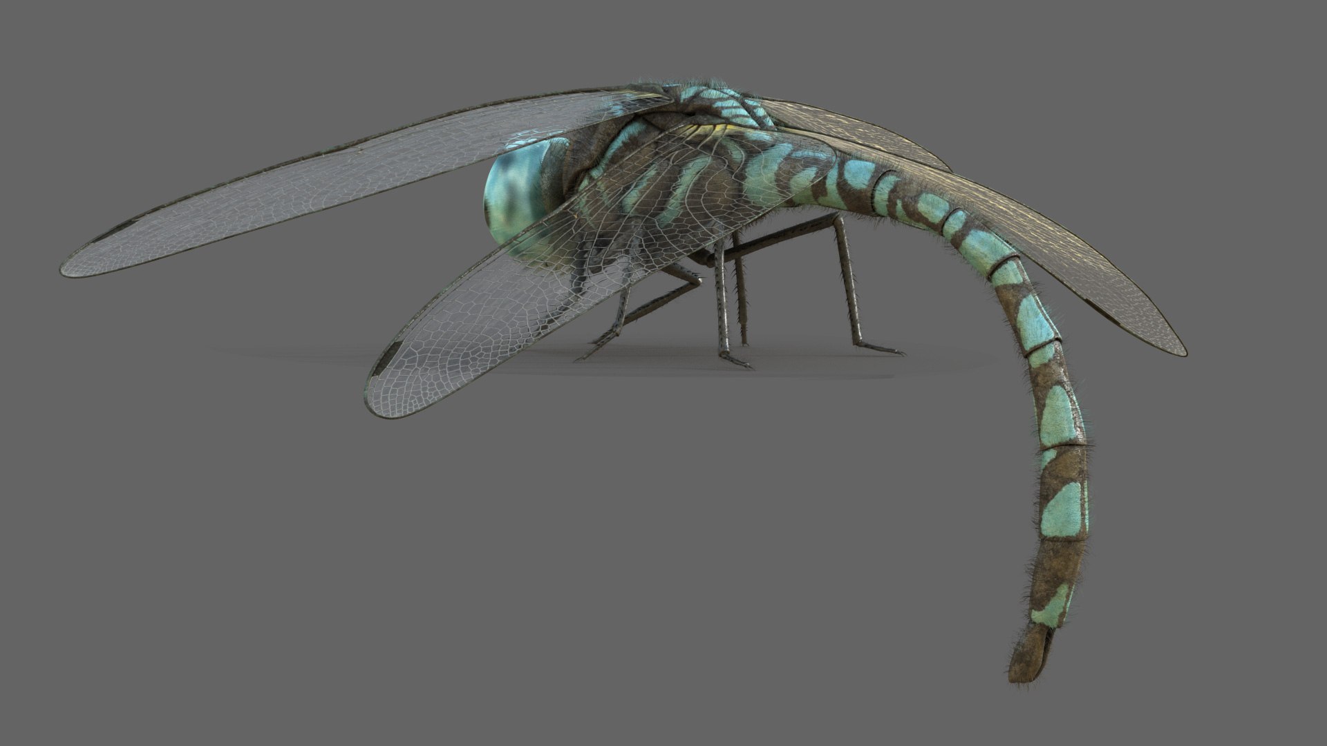 3D Dragonfly Rigged Animated 8K PBR Textures model - TurboSquid 2002495
