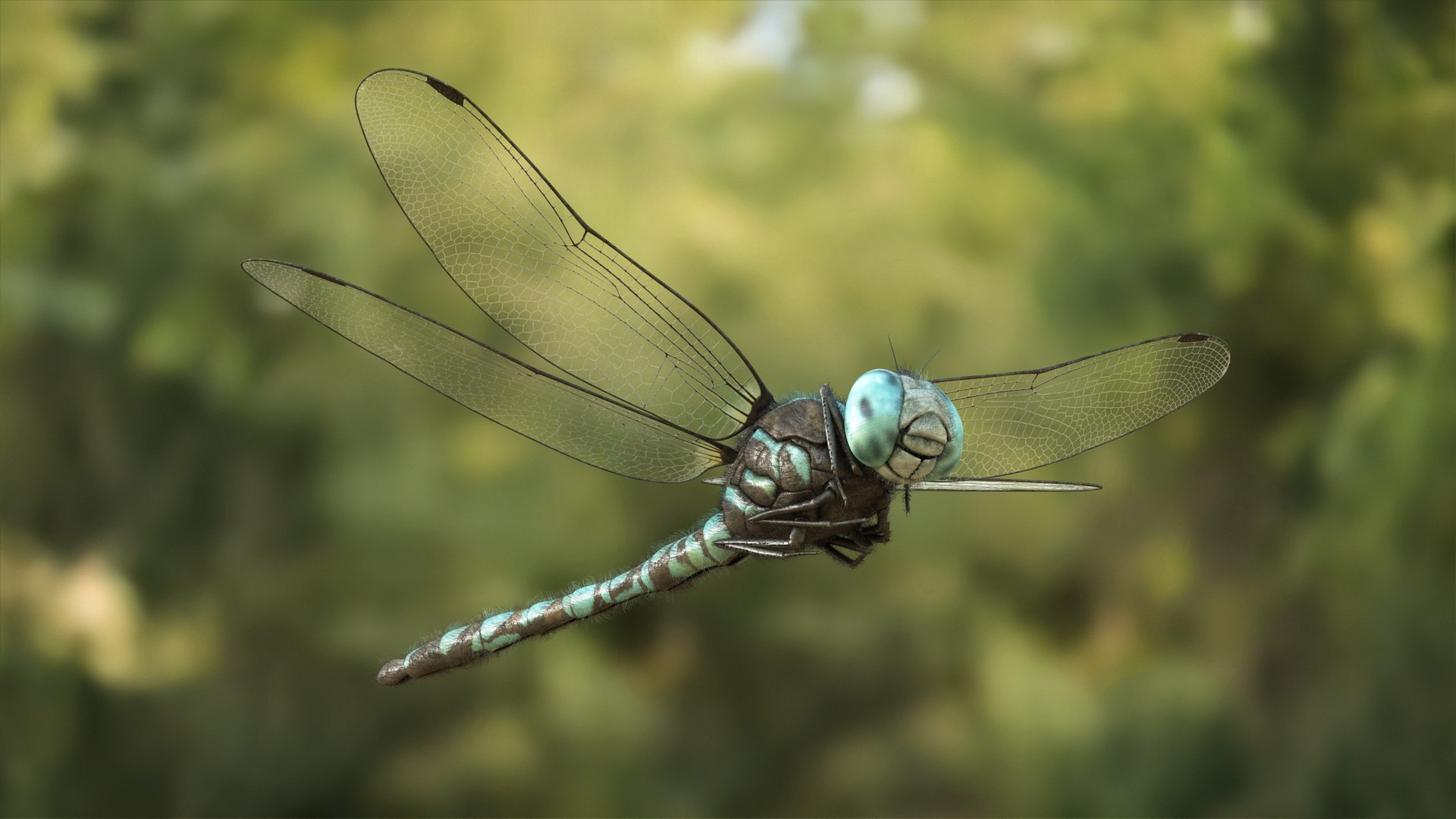 3D Dragonfly Rigged Animated 8K PBR Textures model - TurboSquid 2002495