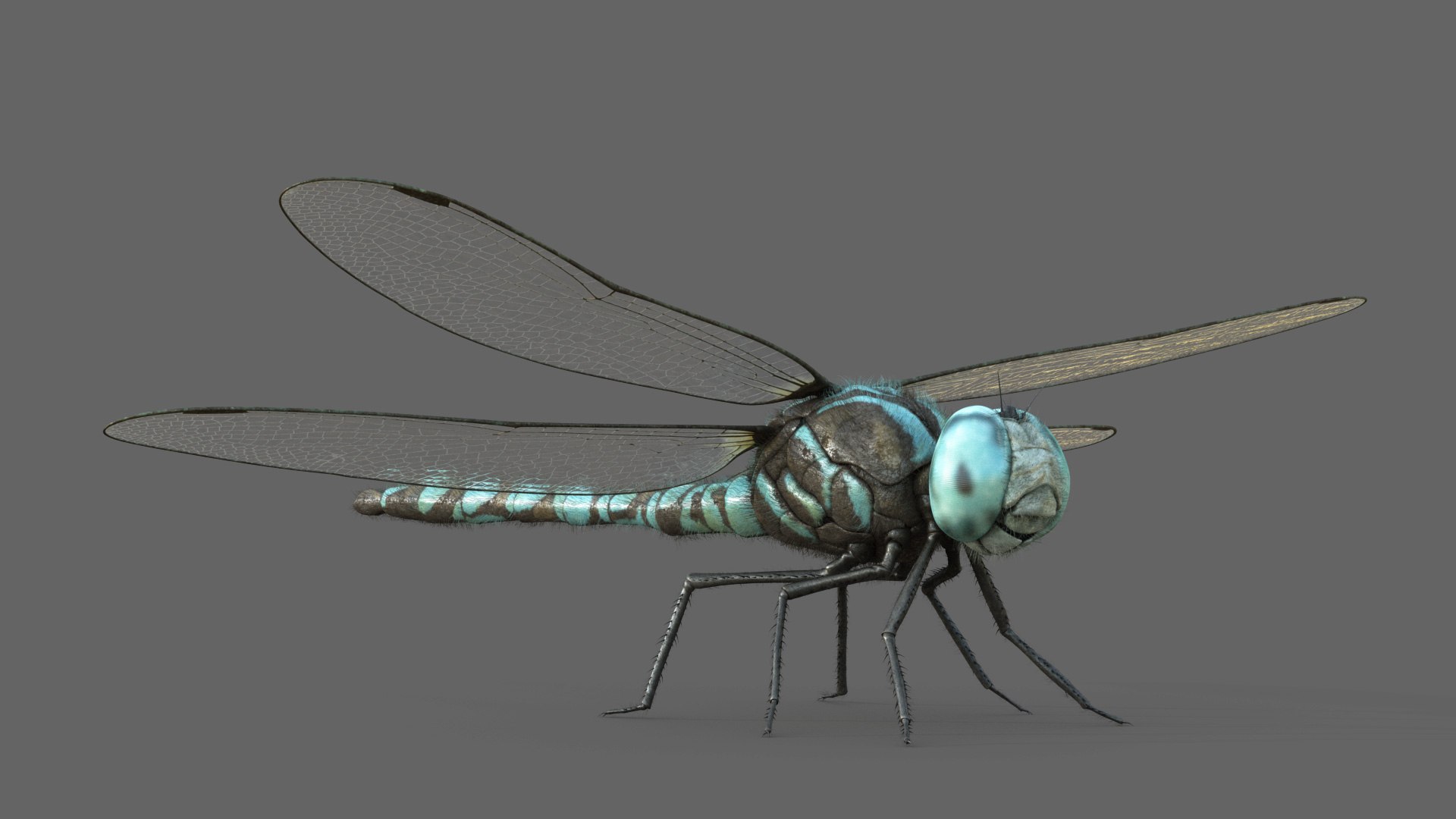 3D Dragonfly Rigged Animated 8K PBR Textures model - TurboSquid 2002495