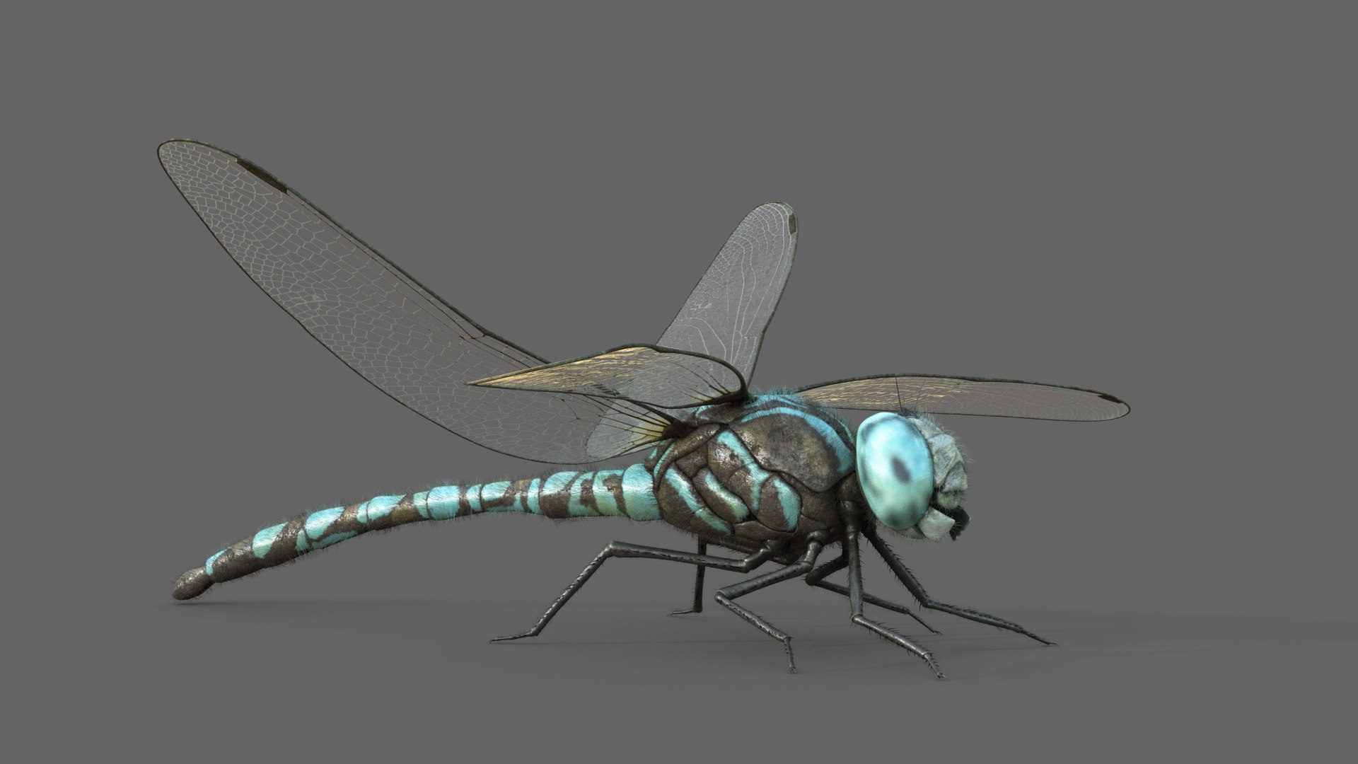 3D Dragonfly Rigged Animated 8K PBR Textures model - TurboSquid 2002495