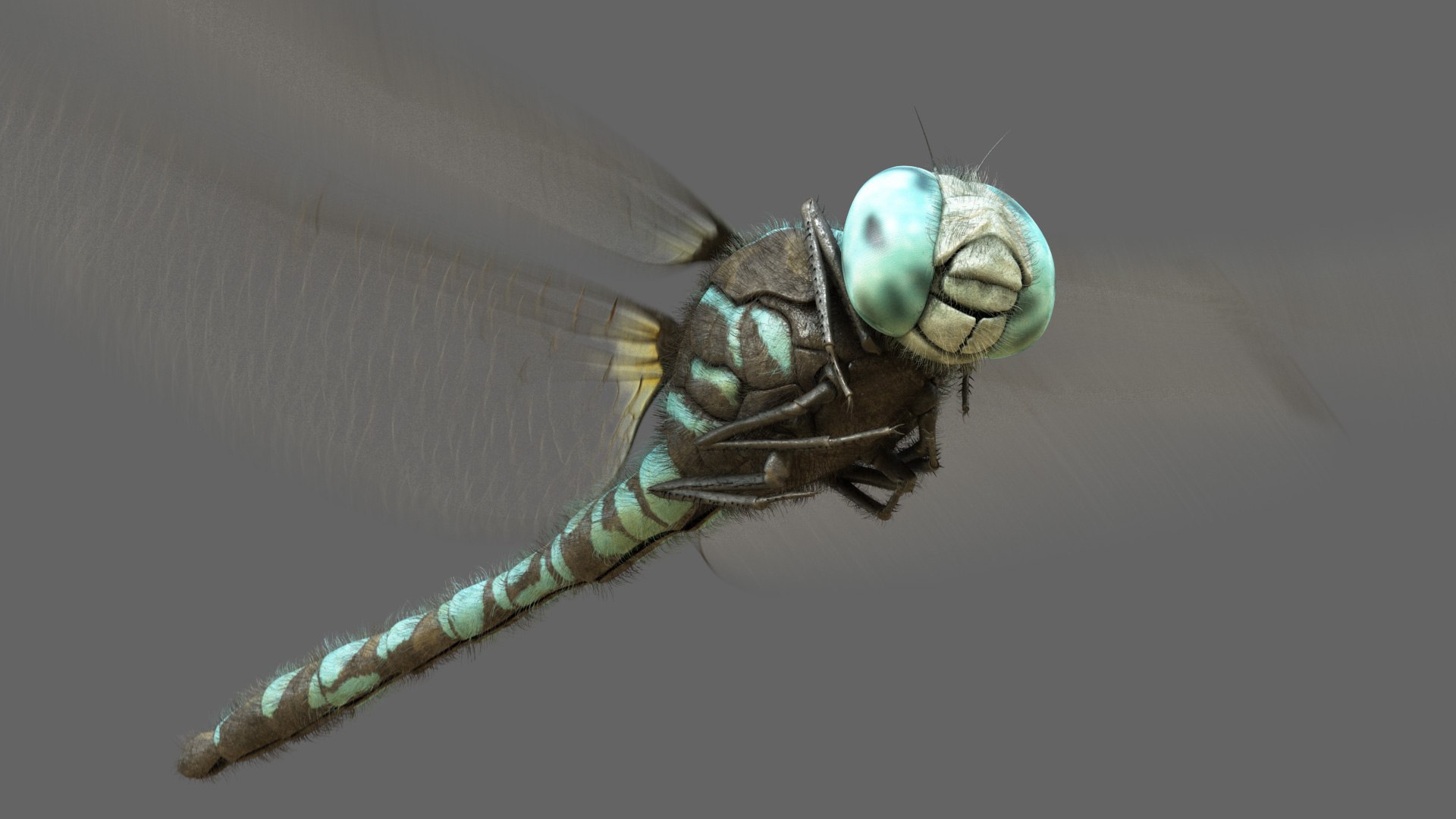 3D Dragonfly Rigged Animated 8K PBR Textures model - TurboSquid 2002495