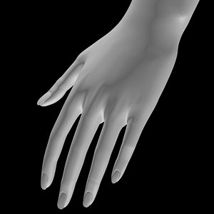 Blender Hand Models | TurboSquid