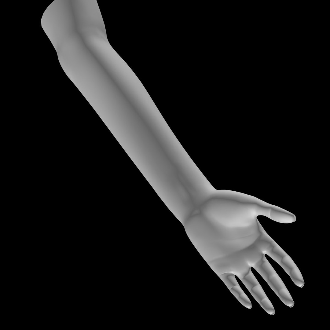 Mesh Female S Hand 3D Model - TurboSquid 1248397