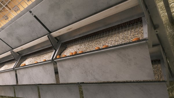 Chicken Farm Collection 3D - TurboSquid 1896399