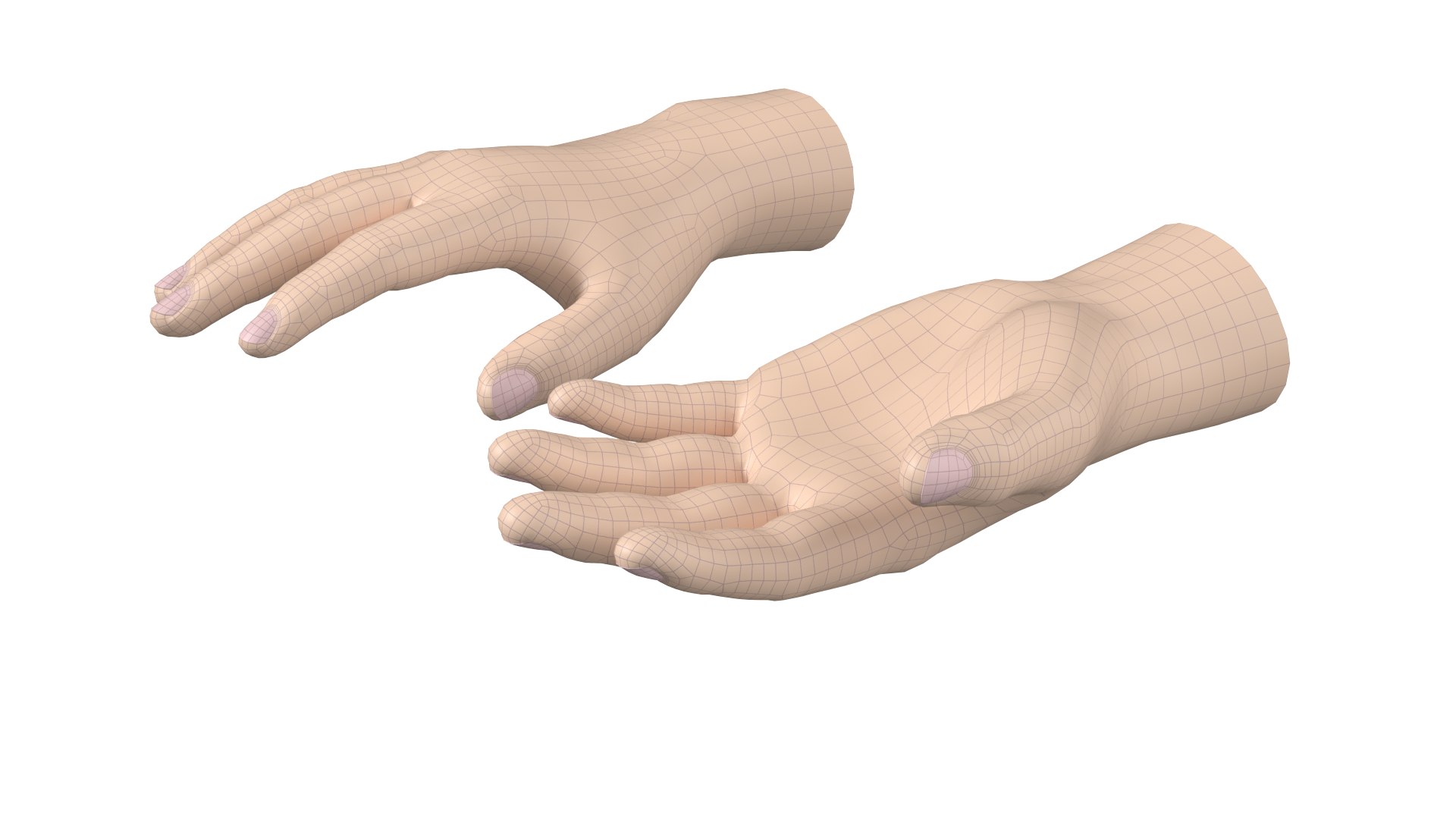 Male Hand Base Mesh 01 3D Model - TurboSquid 2189349