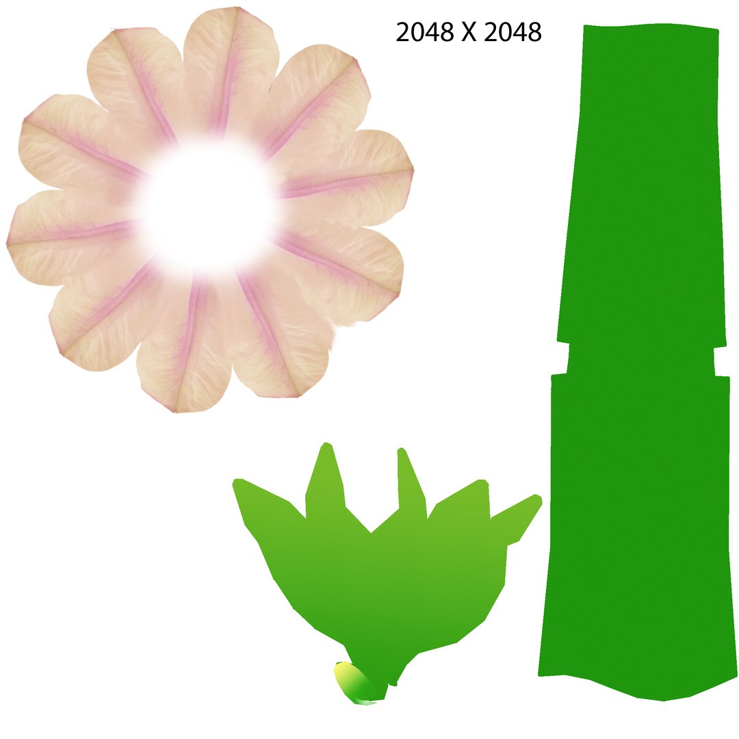 Flower Structure 3d Model