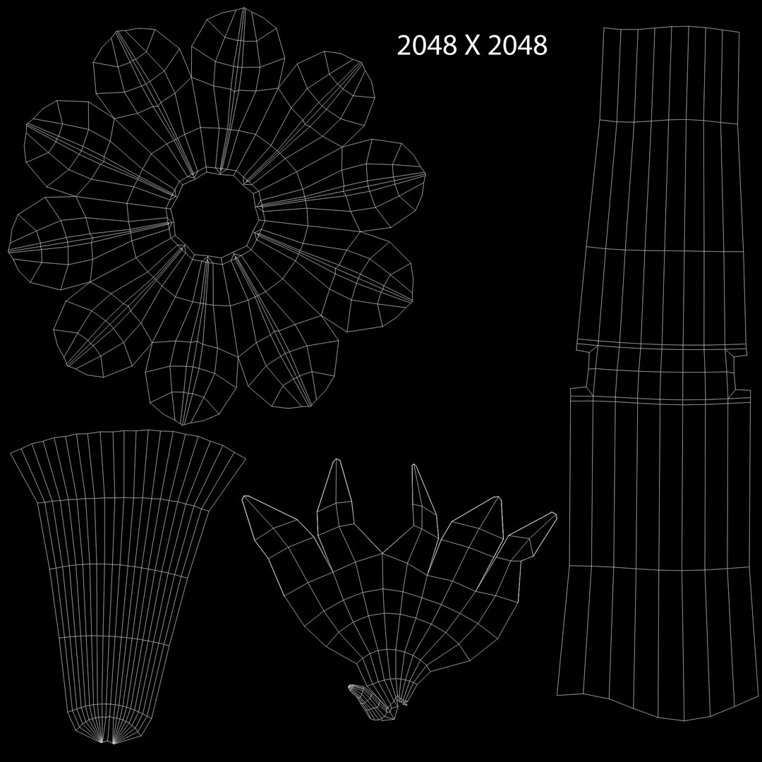 Flower Structure 3d Model