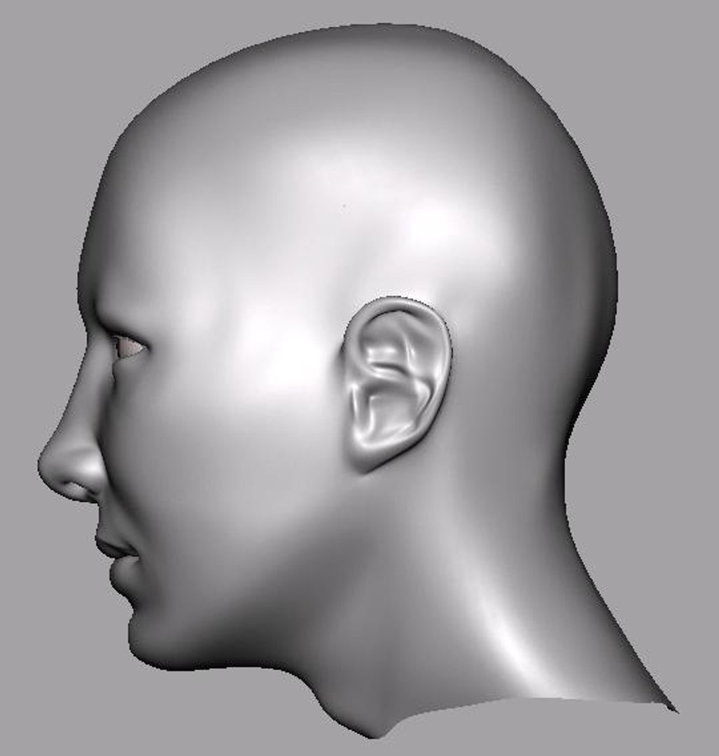3d Model Female Head