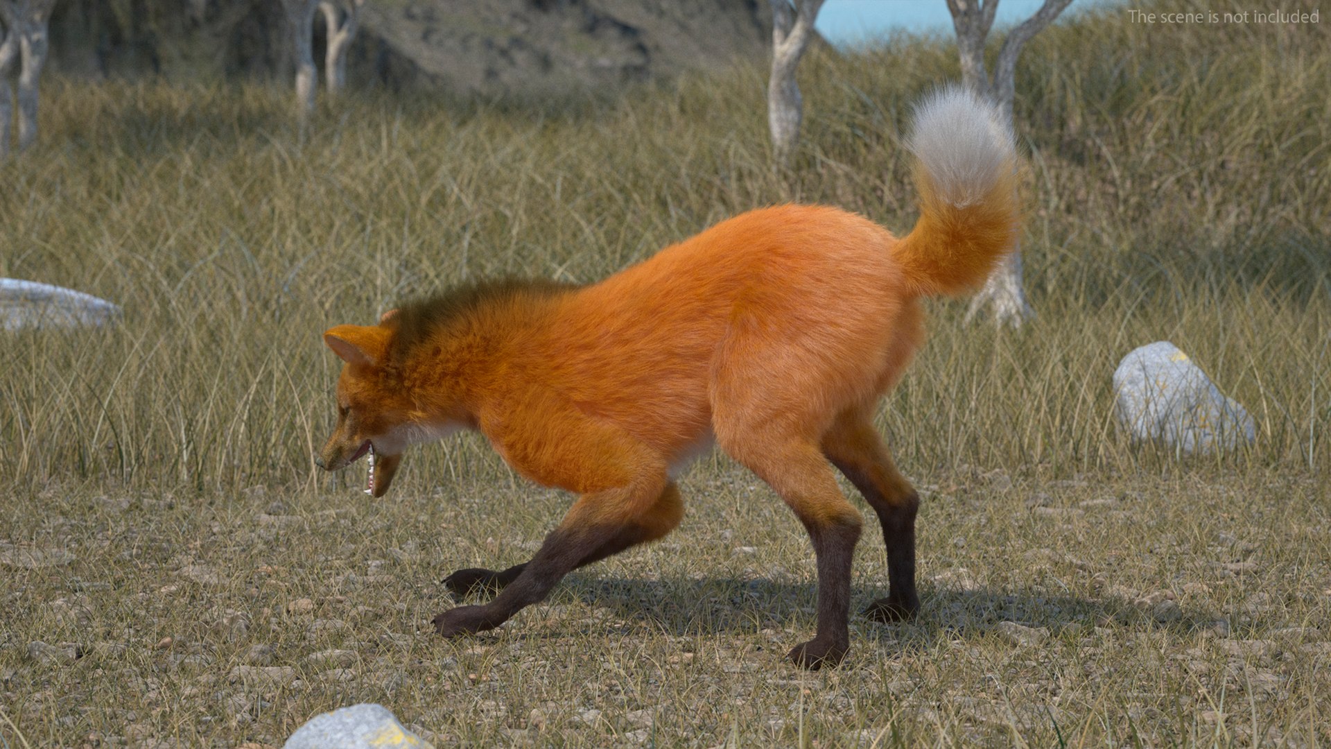 Maned Wolf Eating Pose Fur 3D - TurboSquid 2202001