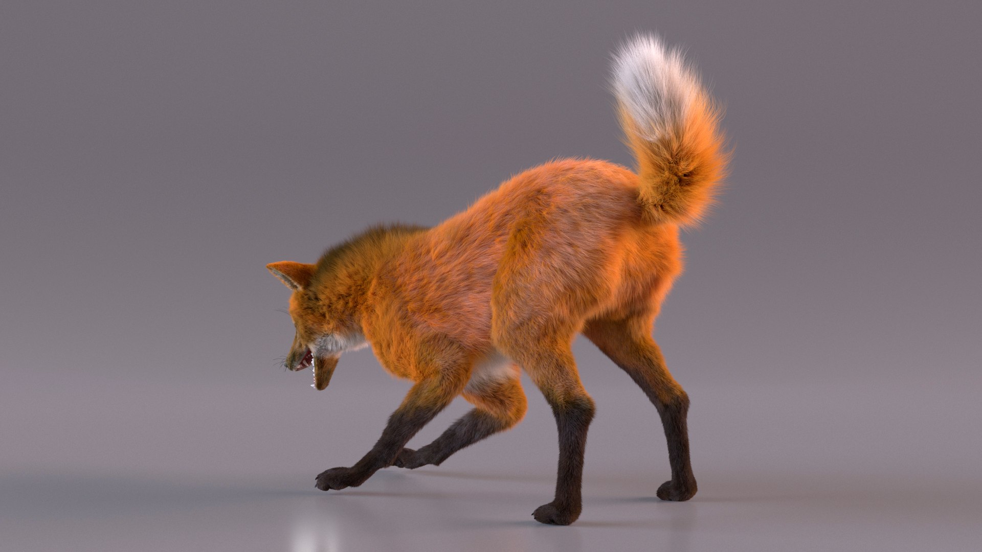 Maned Wolf Eating Pose Fur 3D - TurboSquid 2202001