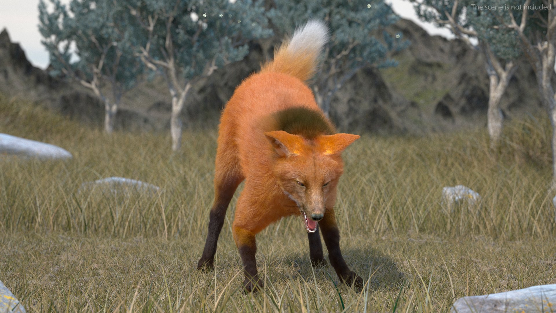 Maned Wolf Eating Pose Fur 3D - TurboSquid 2202001