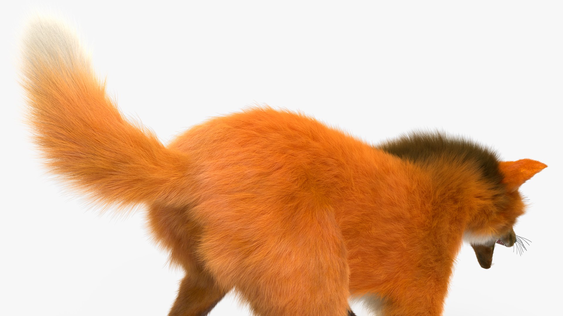 Maned Wolf Eating Pose Fur 3D - TurboSquid 2202001