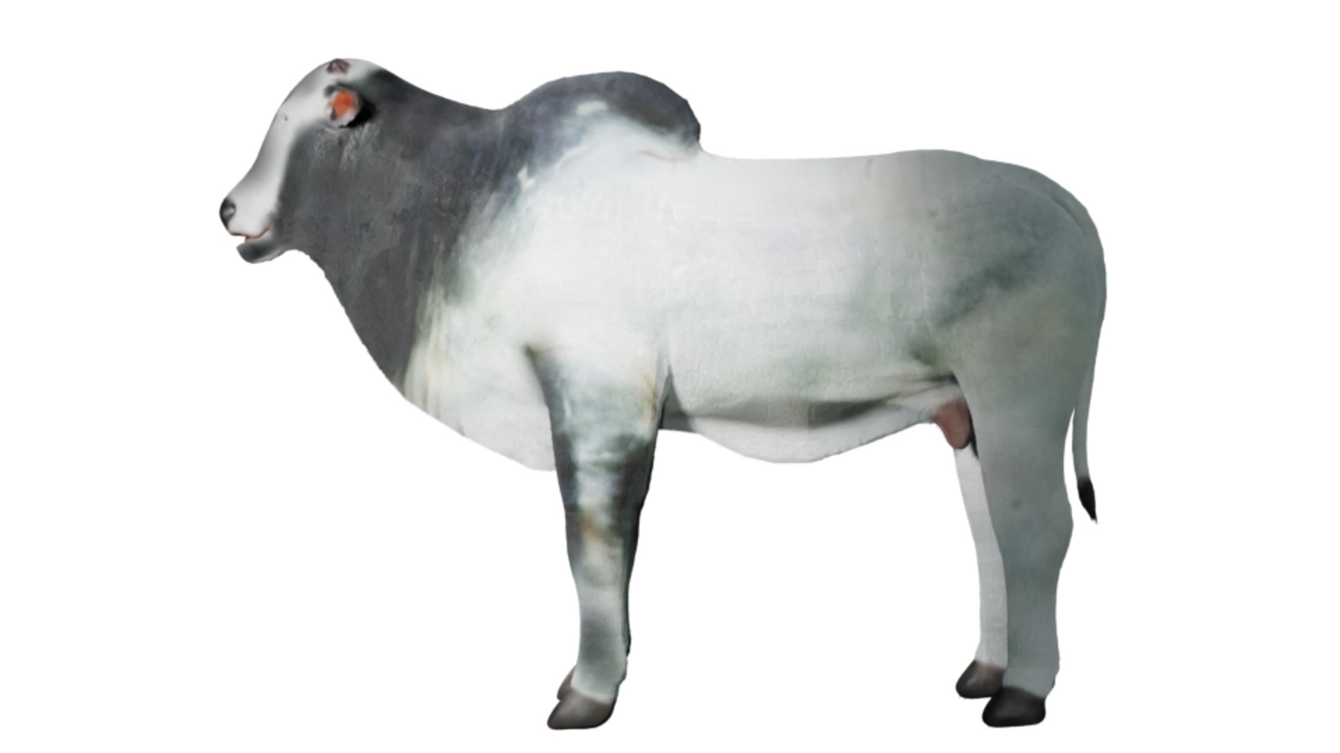 Ox For Game 3D - TurboSquid 2137420