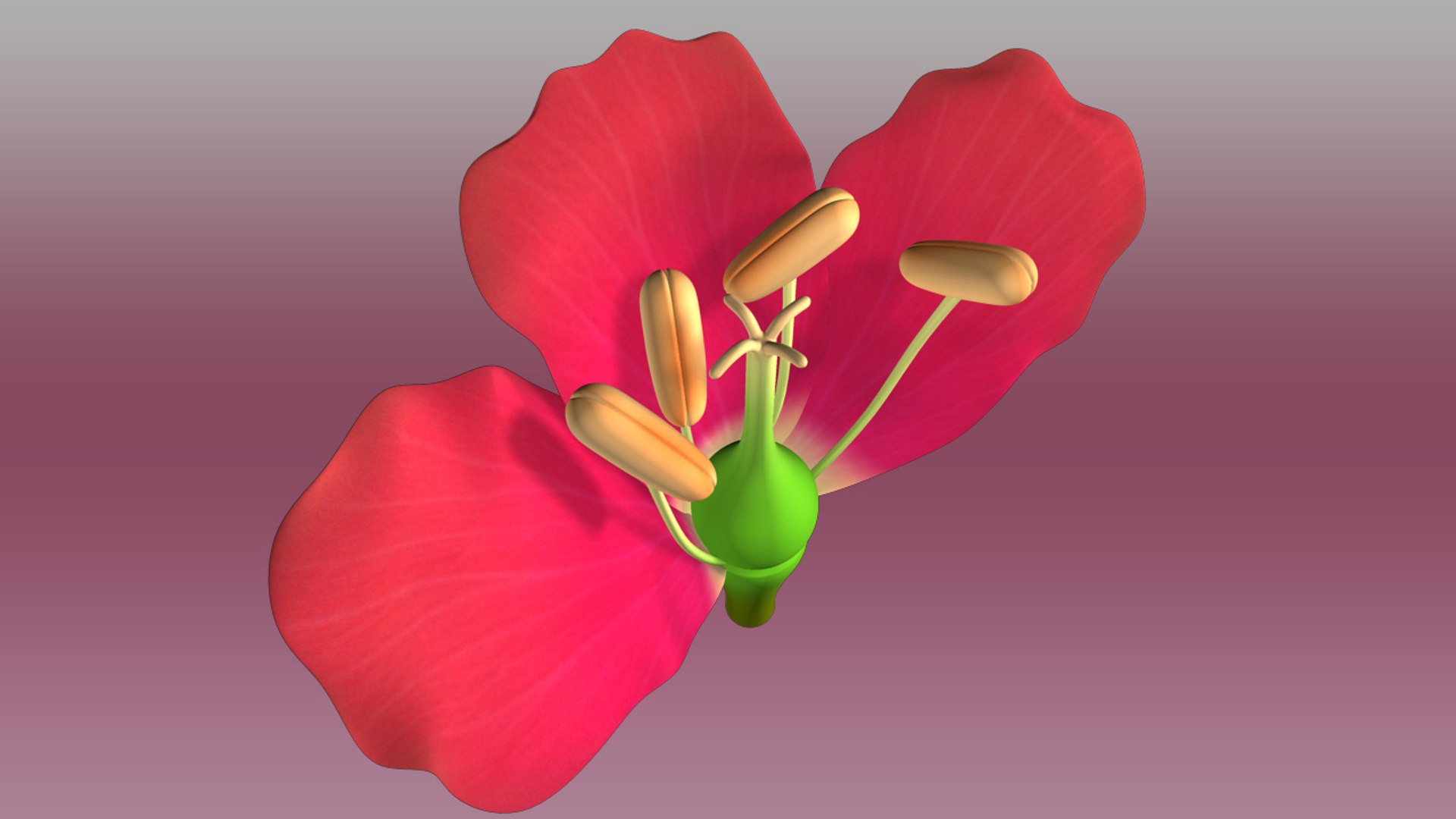 flower biological 3d obj