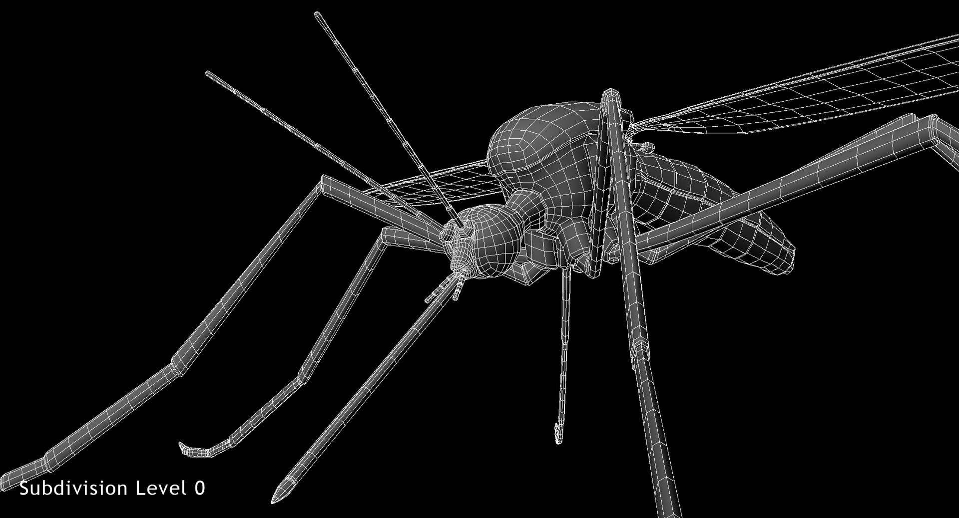 3D model common house mosquito animation - TurboSquid 1353866