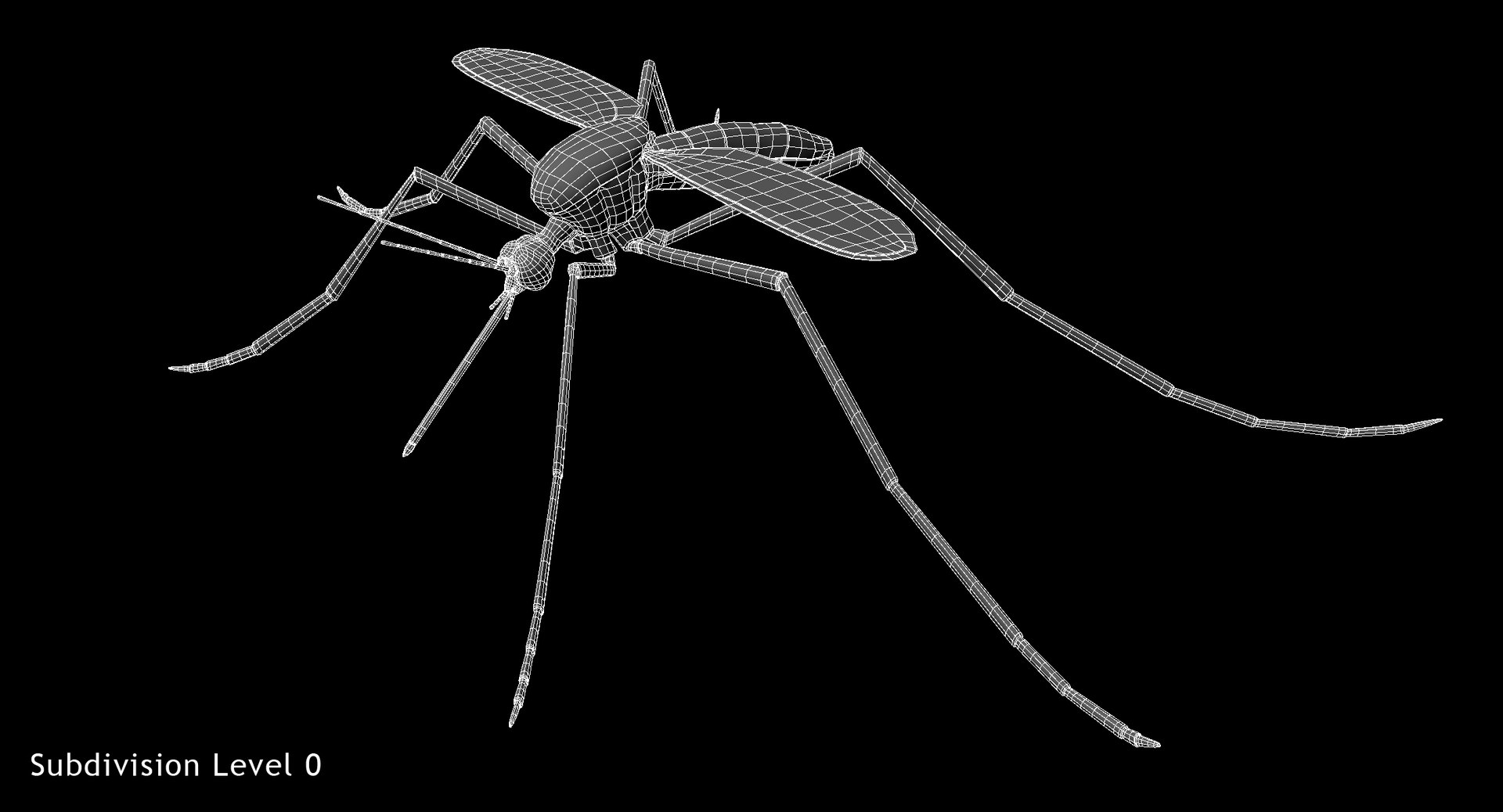 3D model common house mosquito animation - TurboSquid 1353866