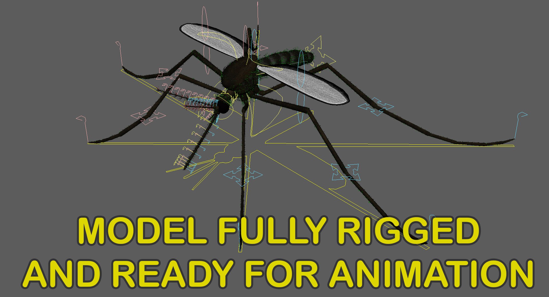 3D Model Common House Mosquito Animation - TurboSquid 1353866