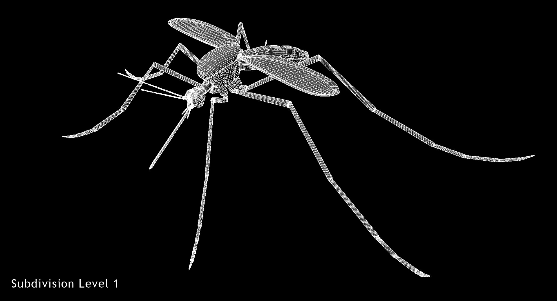 3D model common house mosquito animation - TurboSquid 1353866