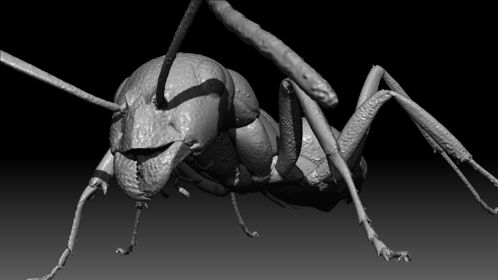 Formica Japonica CT Scan 3D Model - TurboSquid 1716235