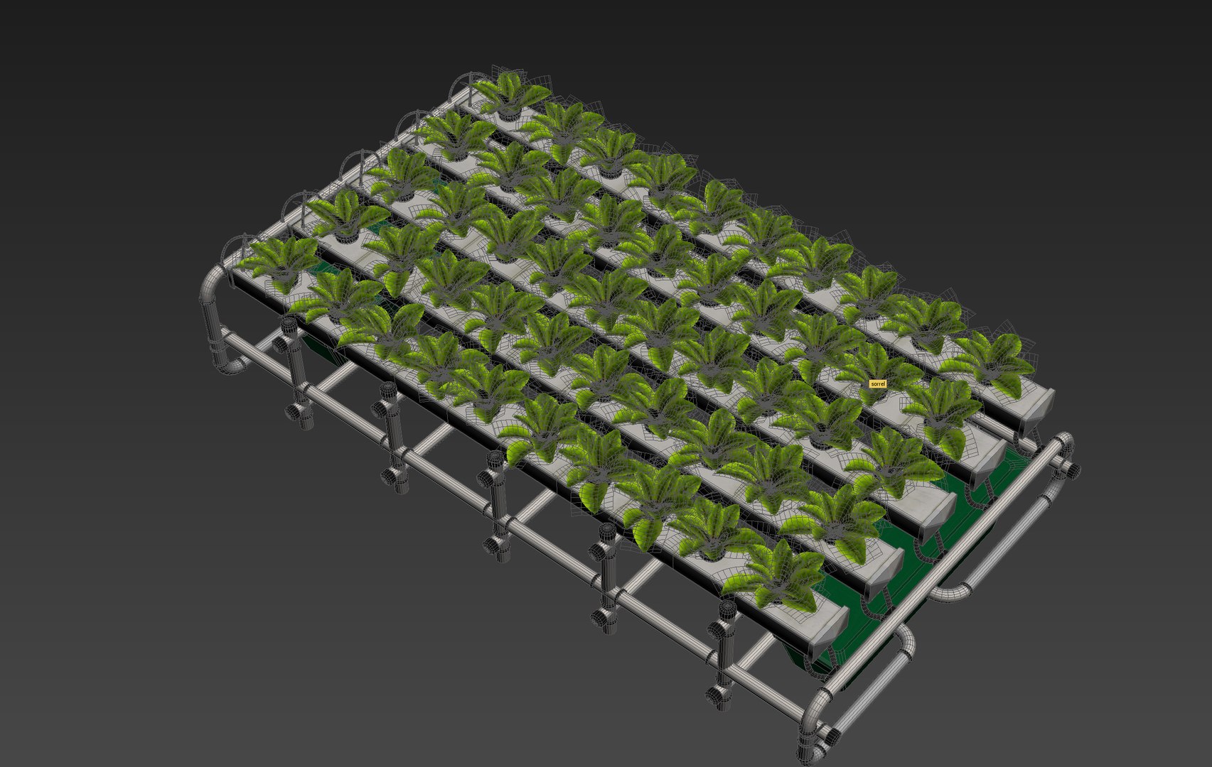 Hydroponics 3D Model - TurboSquid 1366977