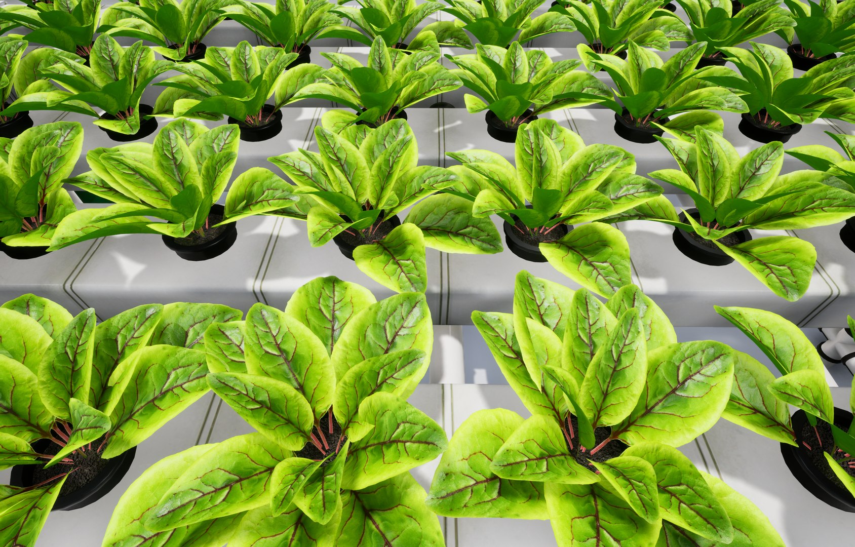 Hydroponics 3D Model - TurboSquid 1366977