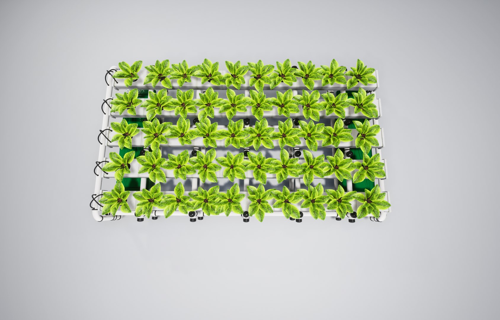 Hydroponics 3D Model - TurboSquid 1366977