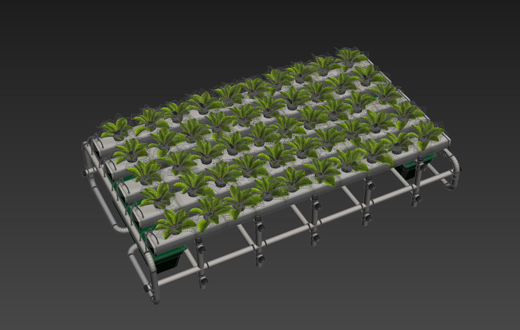 Hydroponics 3D model - TurboSquid 1366977