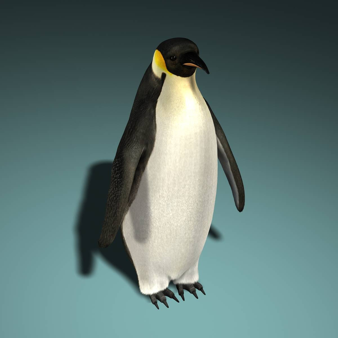 3d Ma Penguin Fur Animation