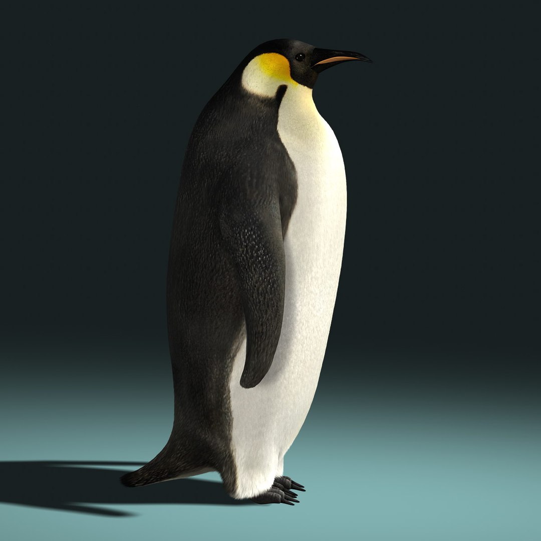 3d Ma Penguin Fur Animation