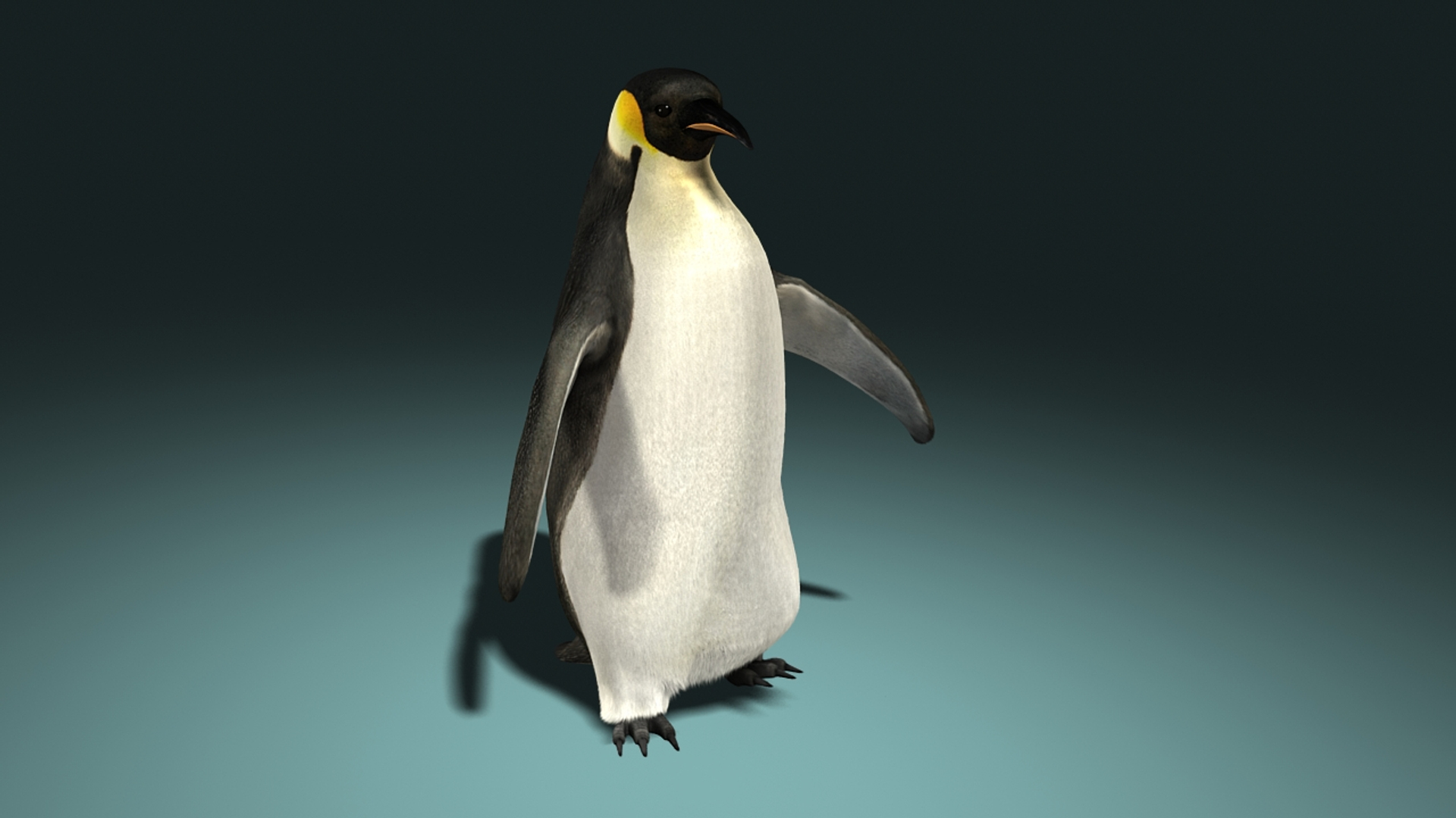 3d Ma Penguin Fur Animation