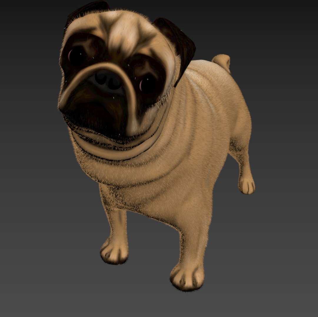 Dog Pug 3D Model - TurboSquid 1409796