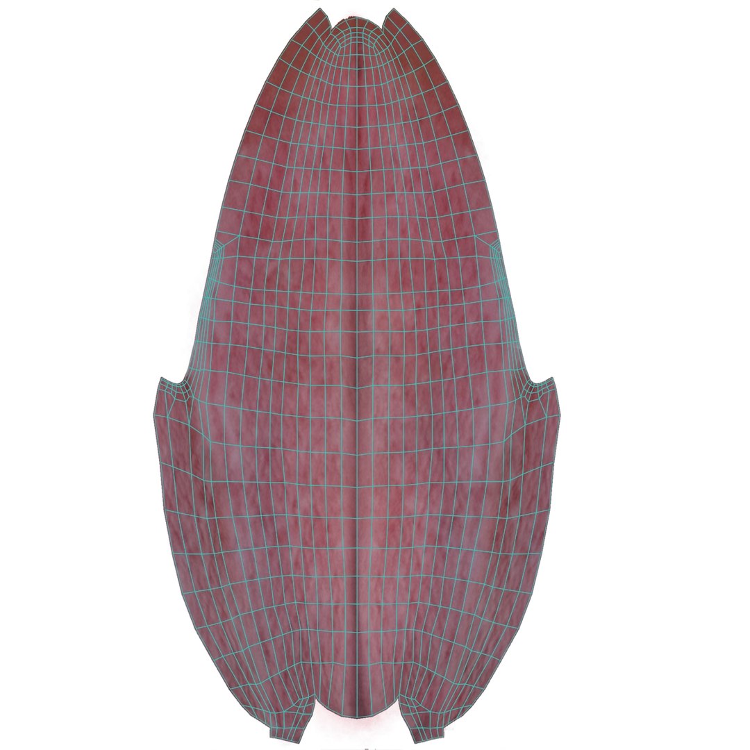 Sika Deer Male 3D model - TurboSquid 2056562