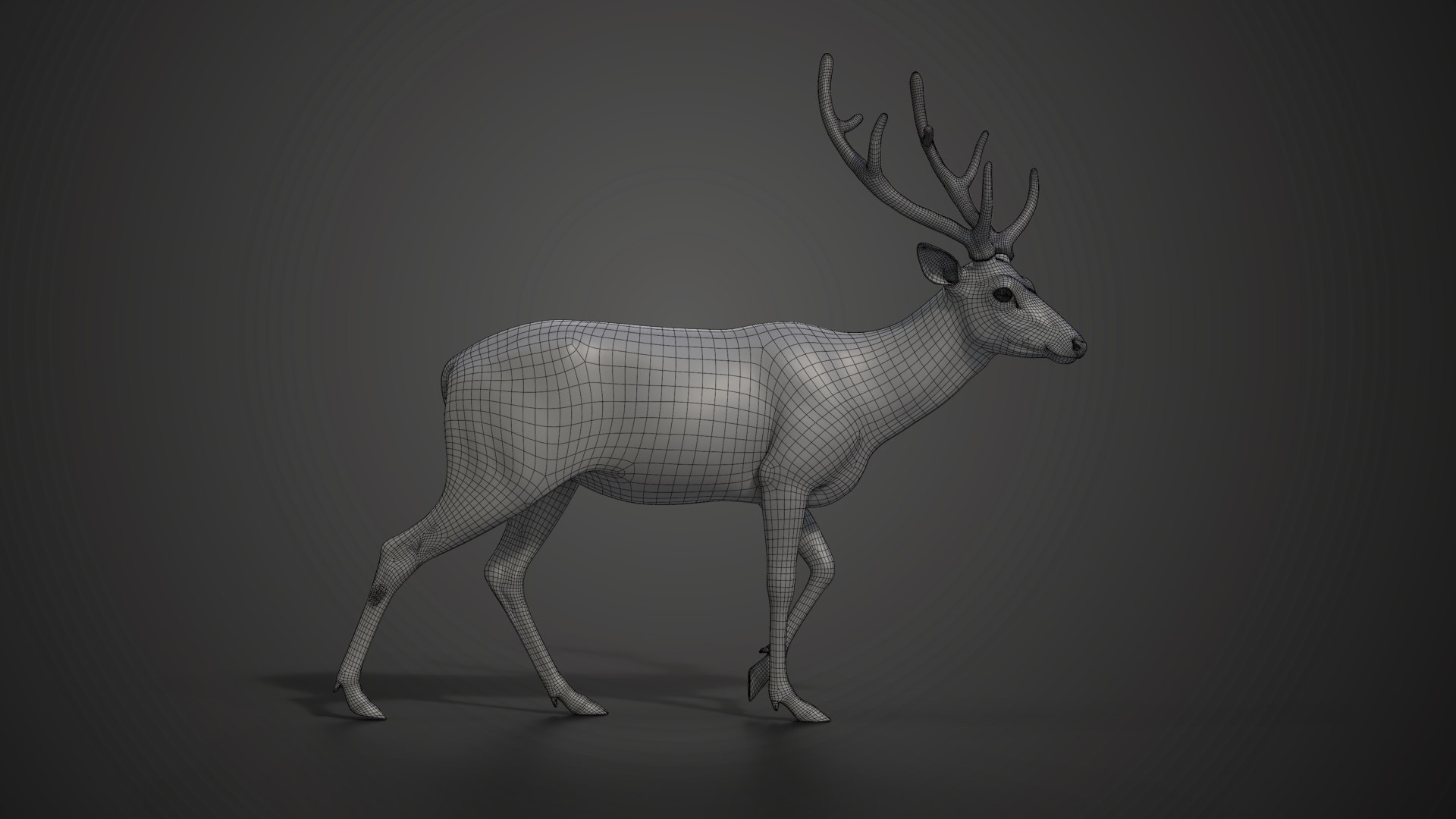 Sika Deer Male 3D Model - TurboSquid 2056562