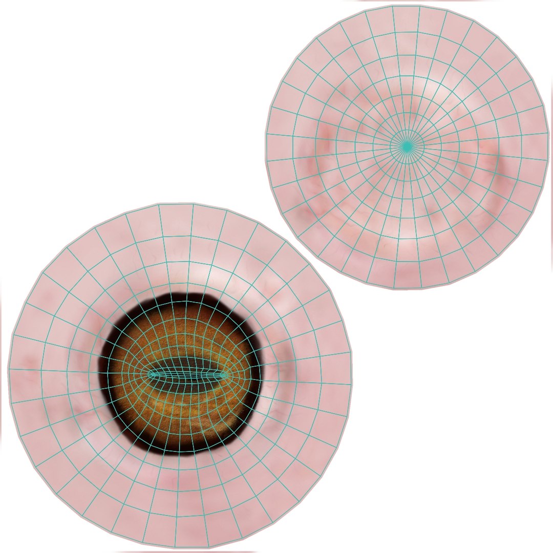 Sika Deer Male 3D model - TurboSquid 2056562