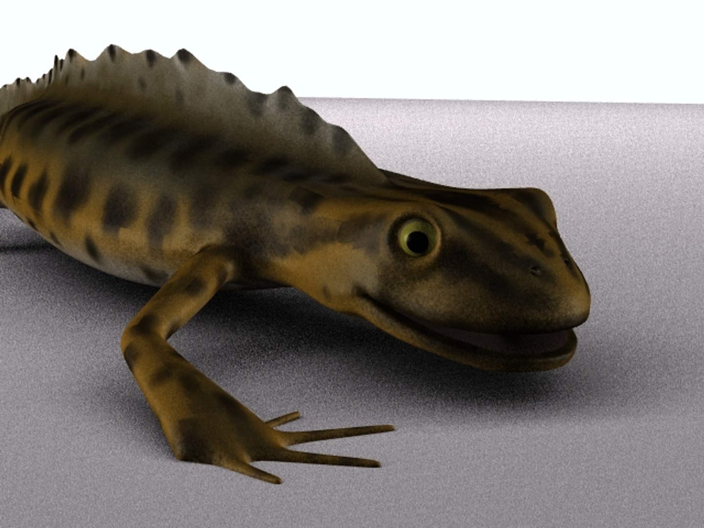 common smooth newt 3d model