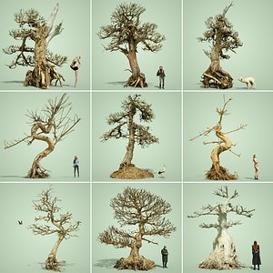 3D dead forest tree stylised model - TurboSquid 1162454