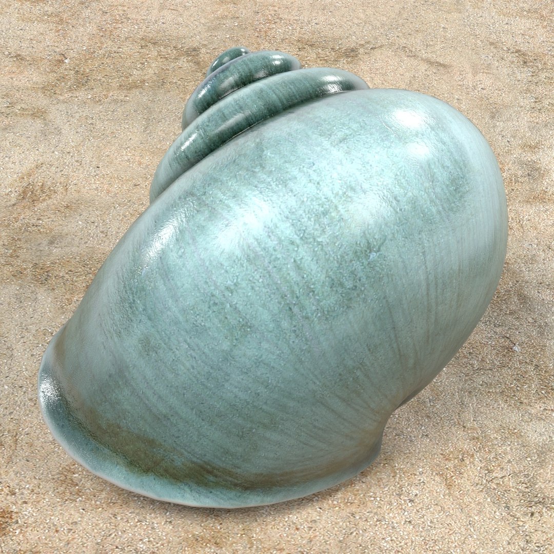 3d Neverita Duplicata Model