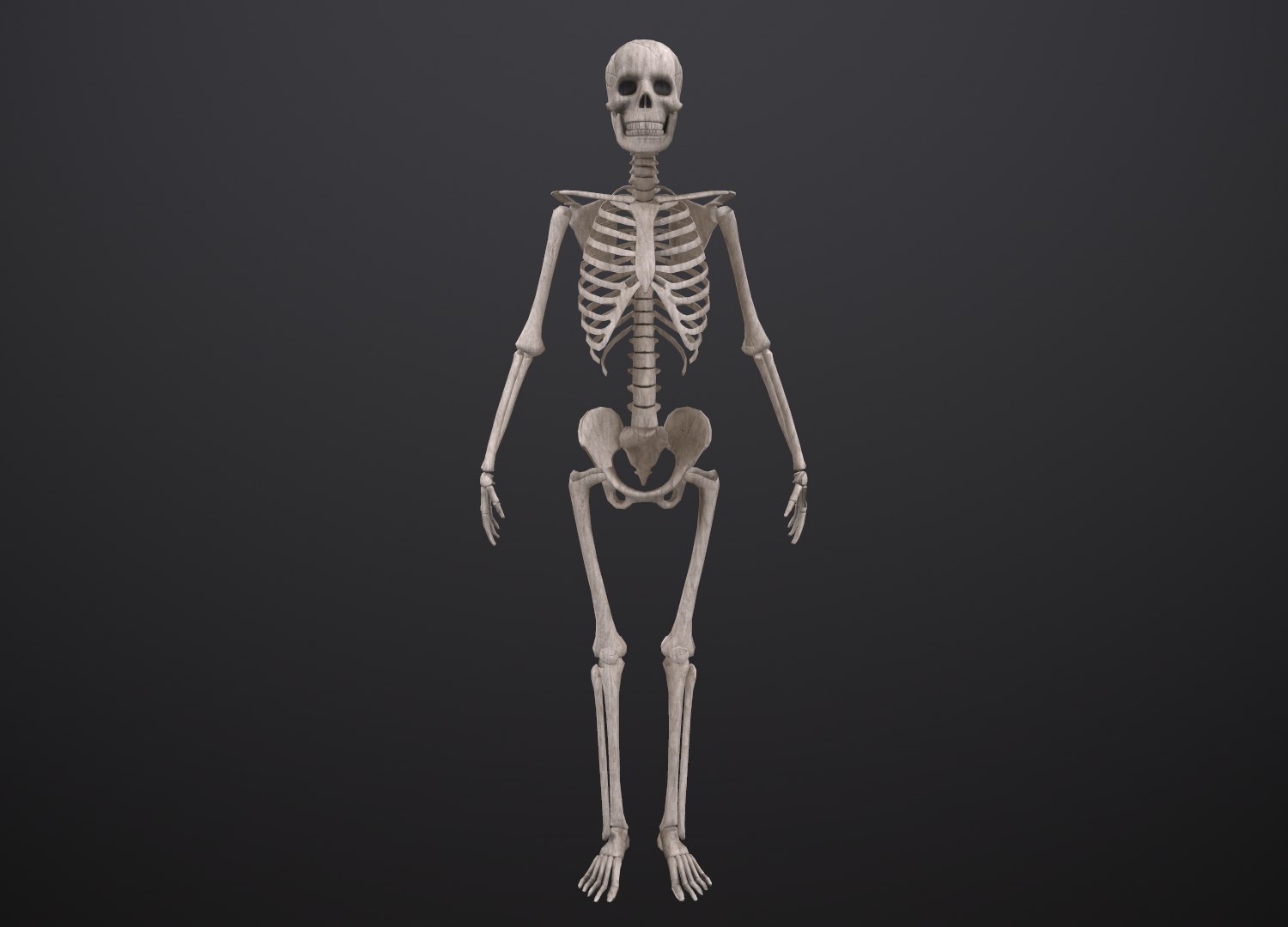 Character Army Skeleton Substance 3D - TurboSquid 1468731