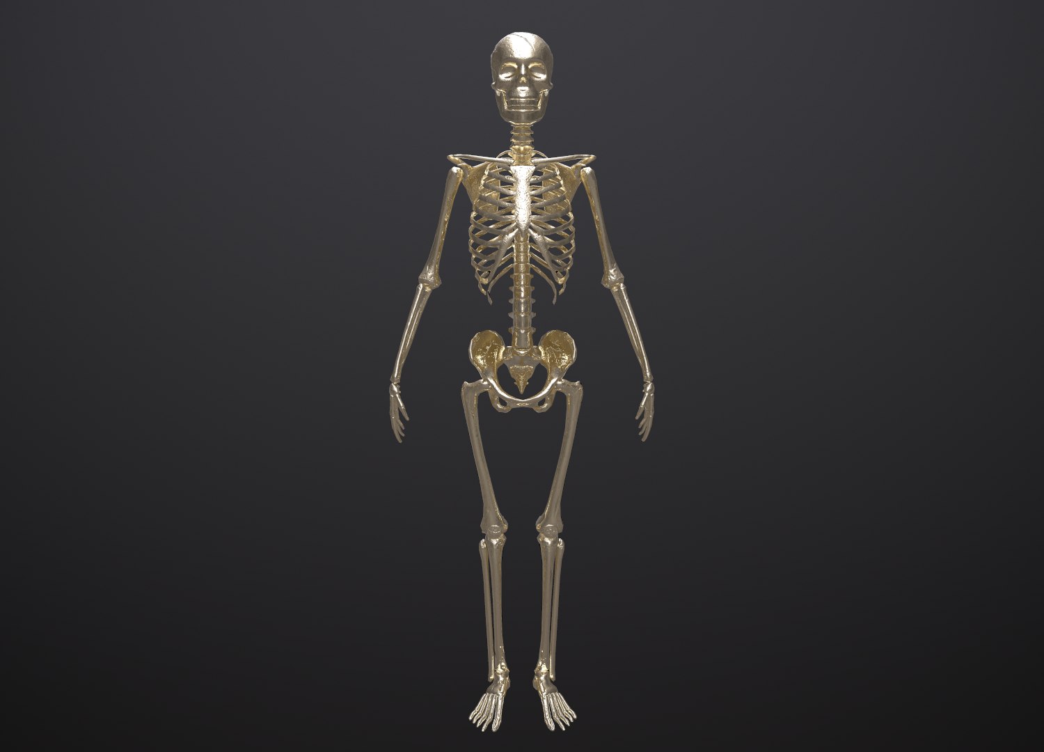 Character Army Skeleton Substance 3D - TurboSquid 1468731