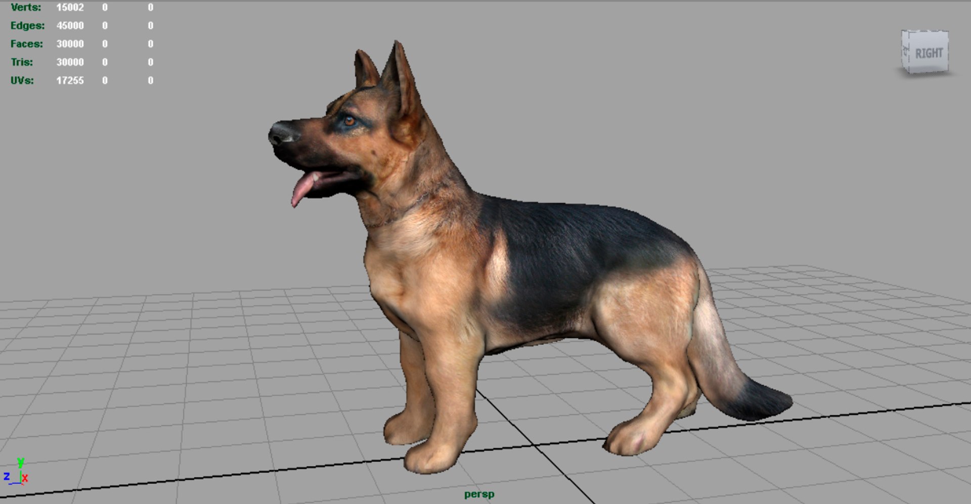 Realistic german shepherd 3D model - TurboSquid 1200678