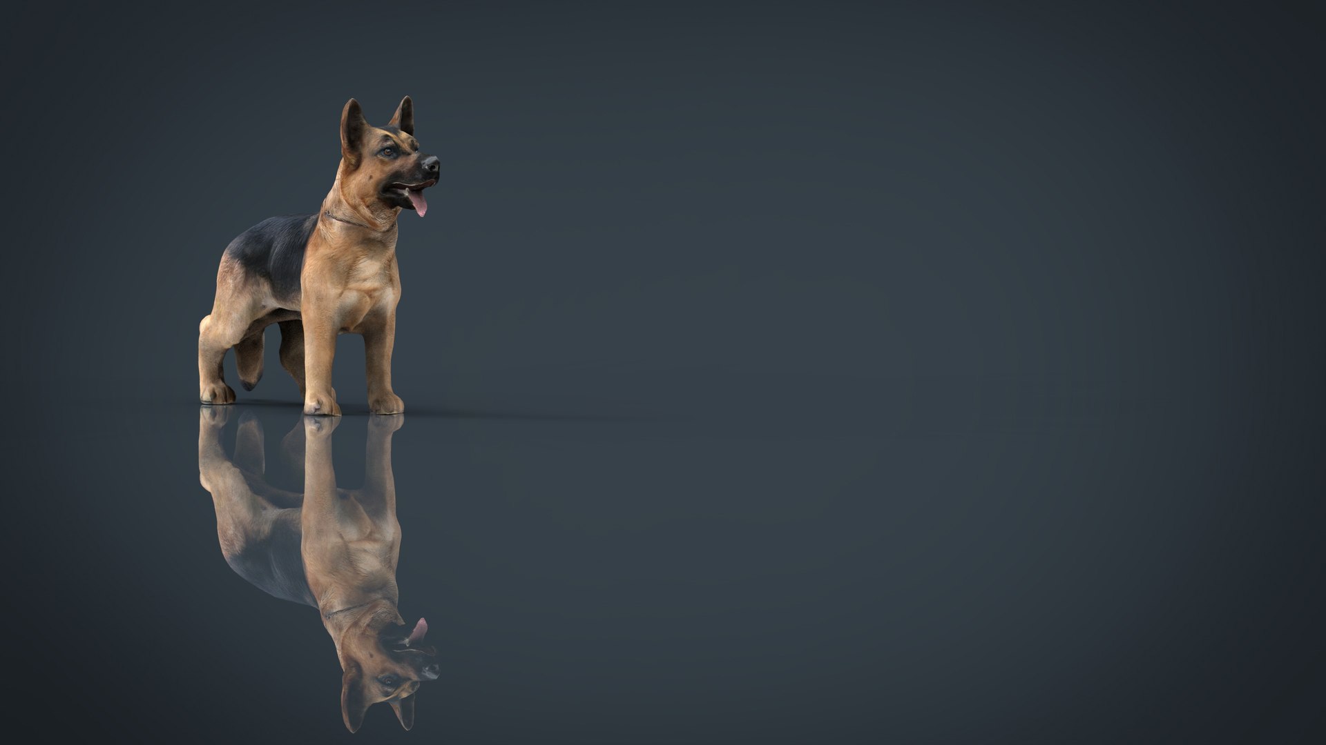 Realistic german shepherd 3D model - TurboSquid 1200678