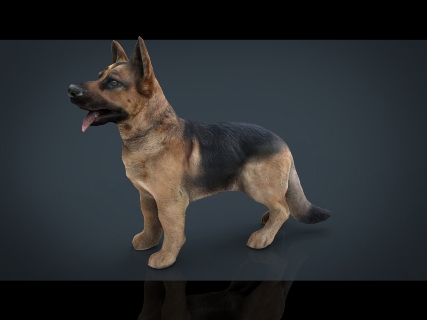 Realistic german shepherd 3D model - TurboSquid 1200678