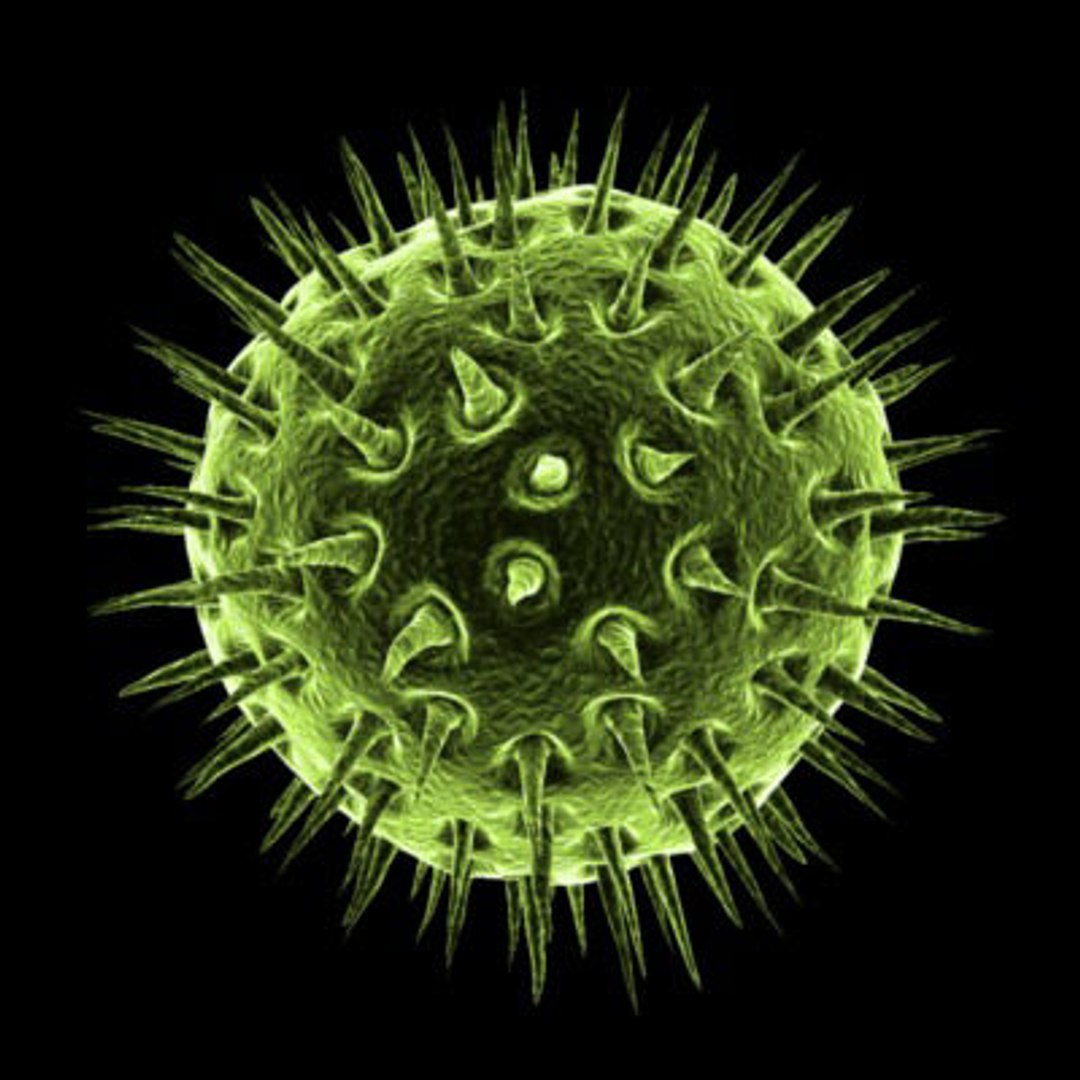 micro cell collections 2 3d max