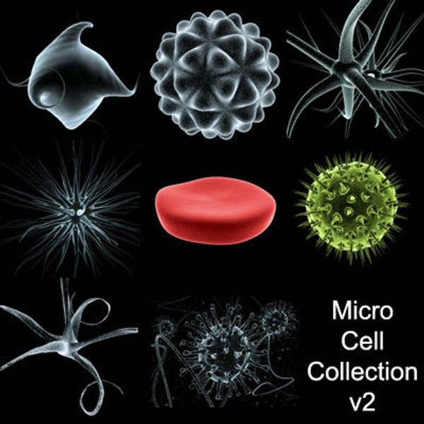 modelo 3d Micro Cell Collection v2 - TurboSquid 317641