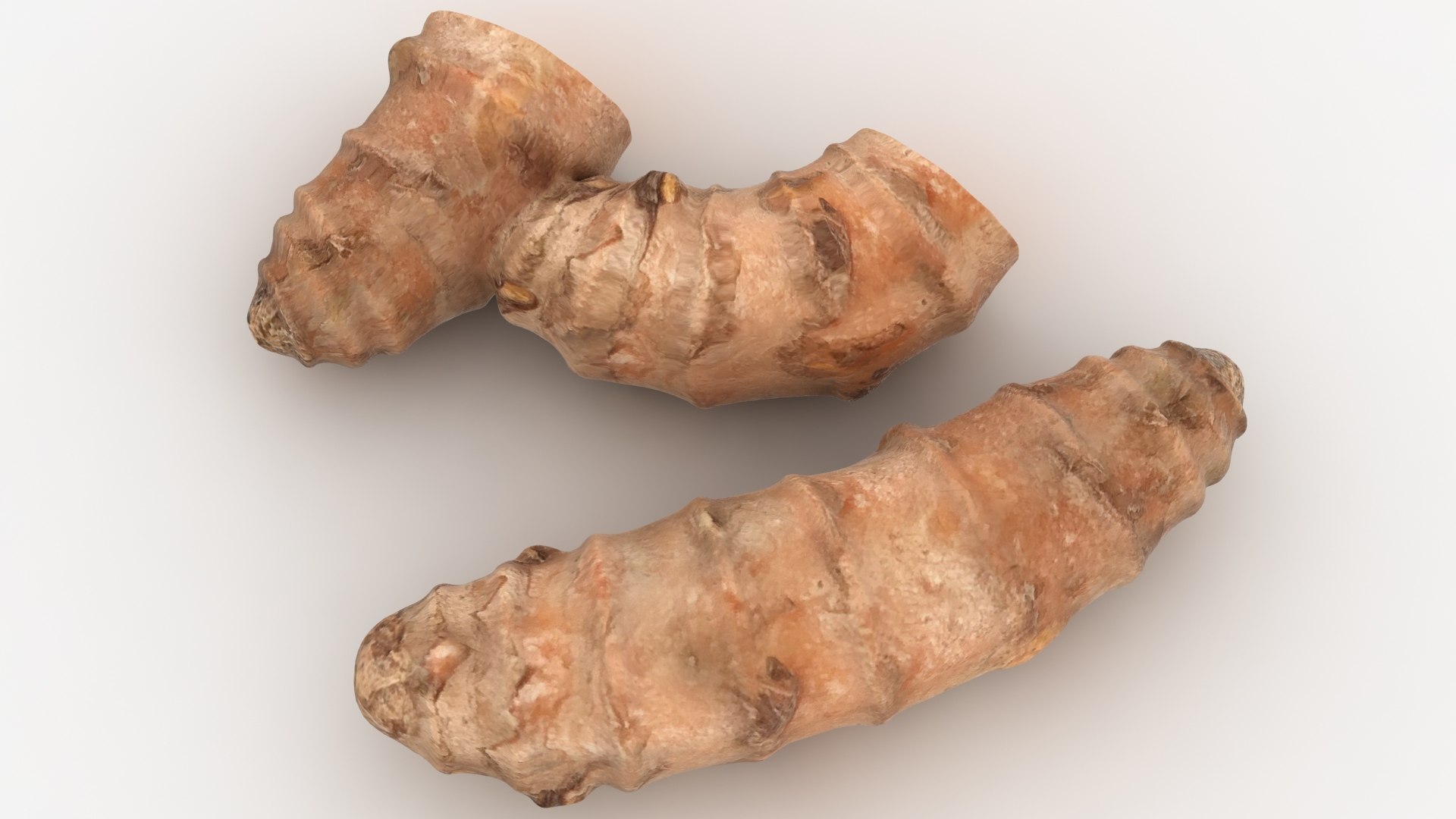Turmeric Root 3D Model - TurboSquid 1597398