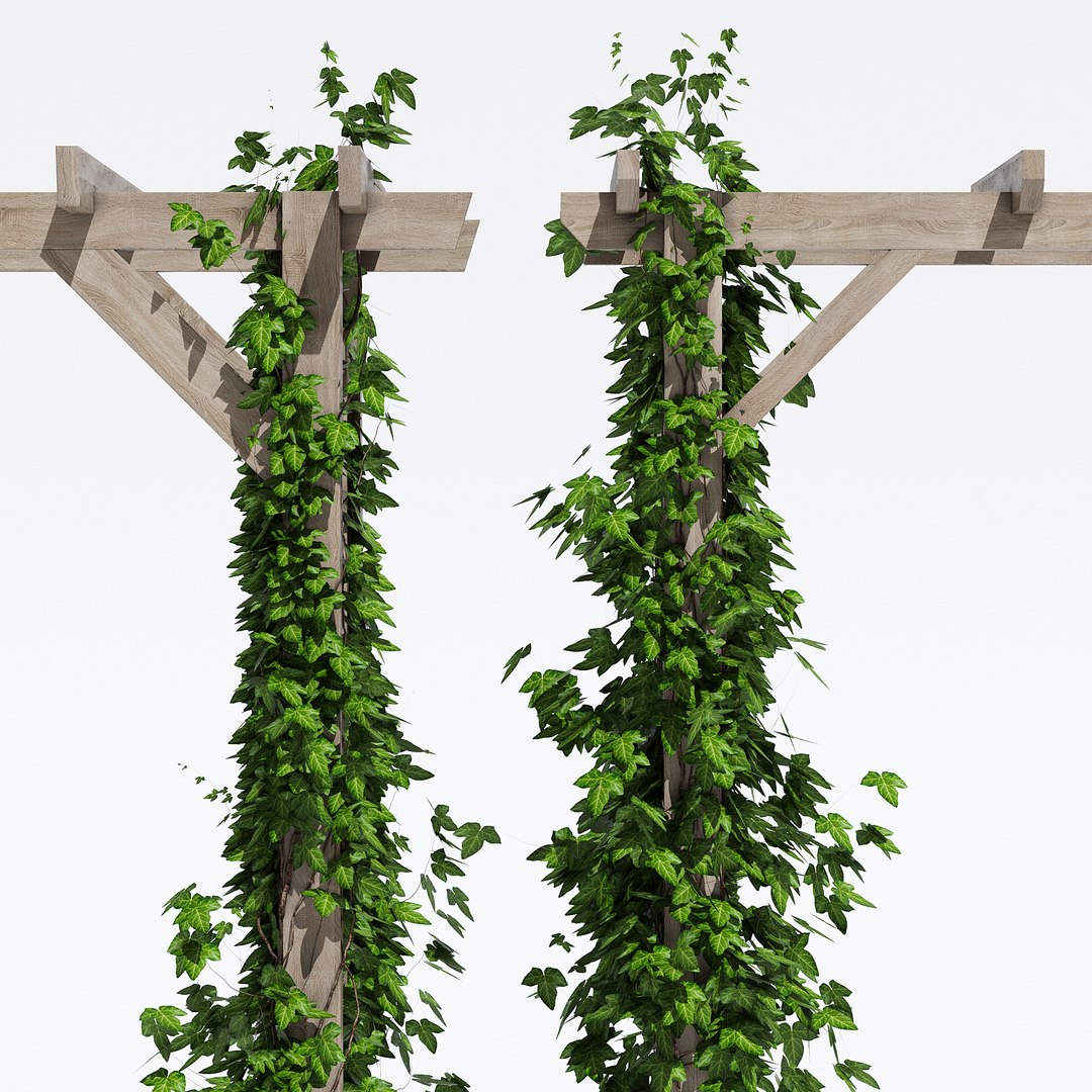 3D Garden Arches Model - TurboSquid 1269989