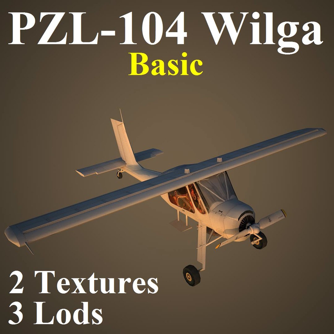 Wilga Basic 3d Model
