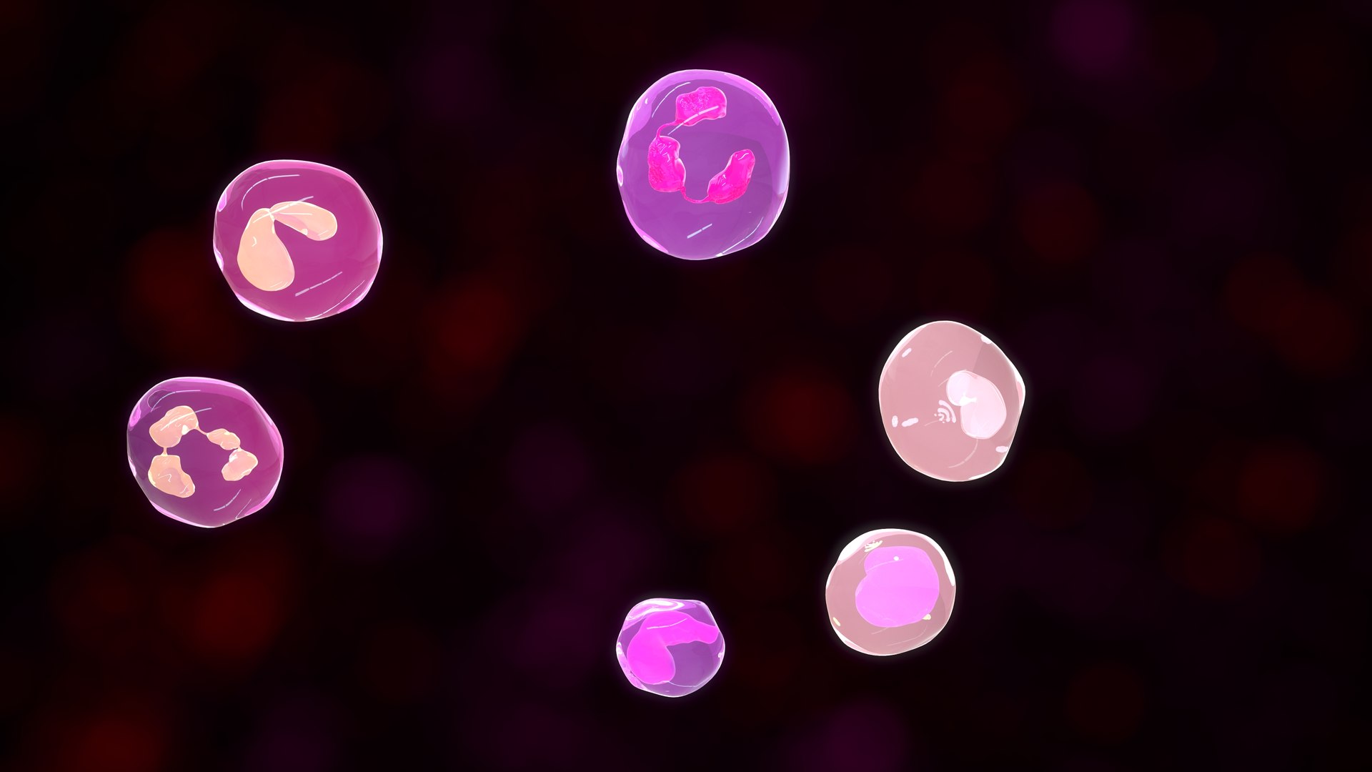 3D Leukocytes model - TurboSquid 2169798